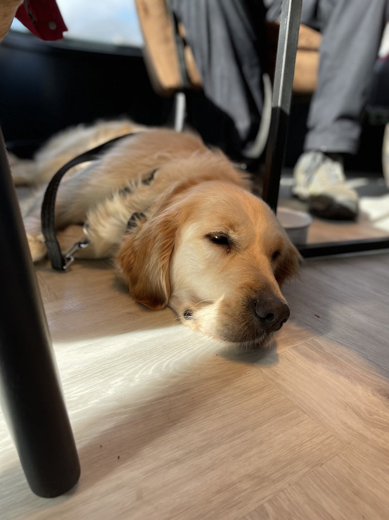 Whitchurch – Coffi Lab